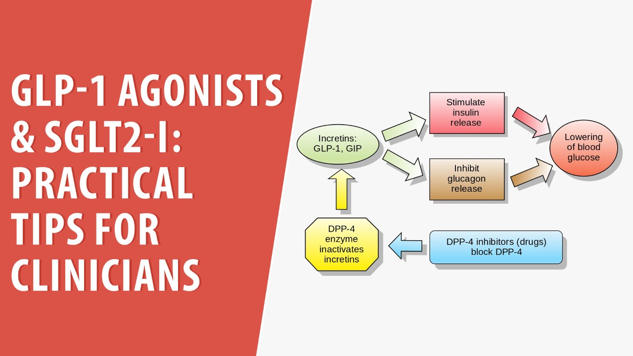 GLP-1 Agonists & SGLT2-I: Practical Tips For Clinicians | CardioVisual ...