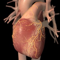 Spanish | CardioVisual: Heart Health App Built by Cardiologists