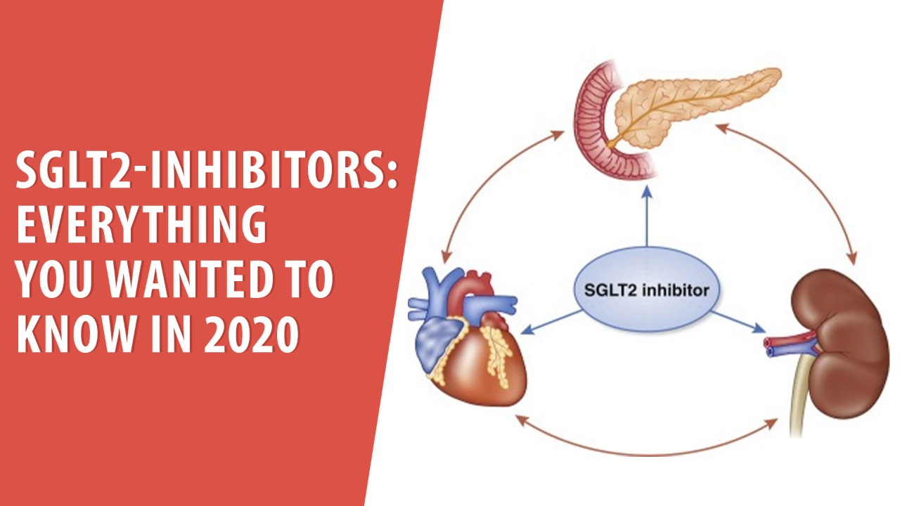 SGLT2-Inhibitors: Everything you wanted to know in 2020